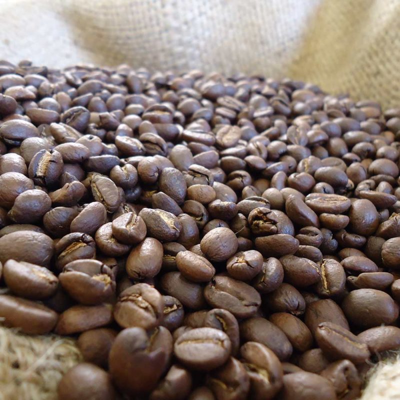 Café de l'Équateur Rio Intag moulu - Solalter